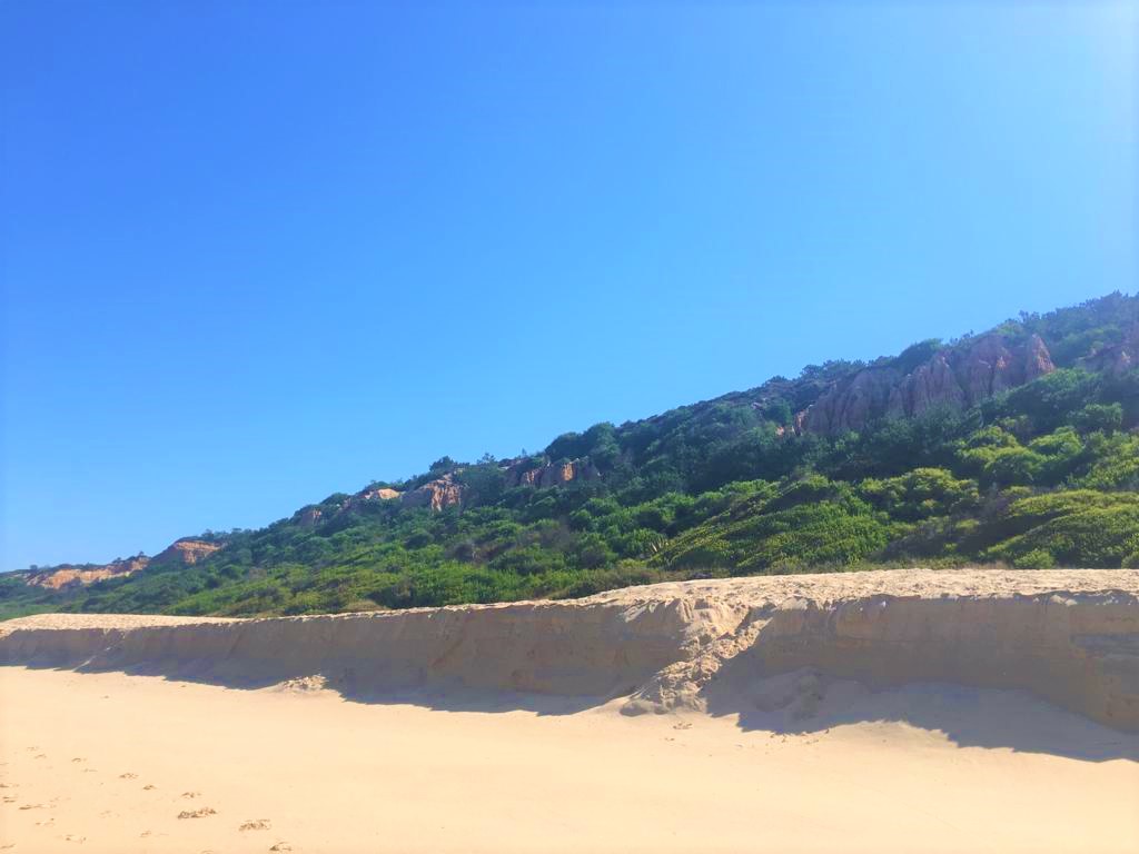 Praia da Nato - Coisas Boas em Alta