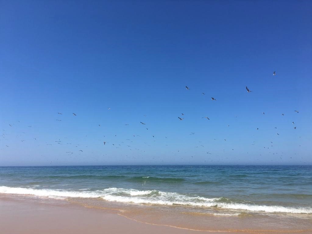 Praia da Nato - Coisas Boas em Alta